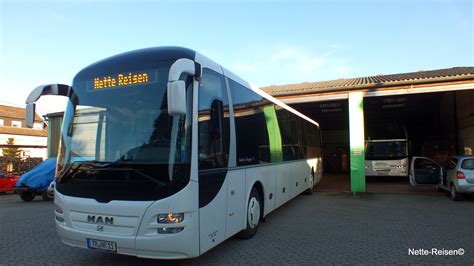 standard reisebusse nette reisen