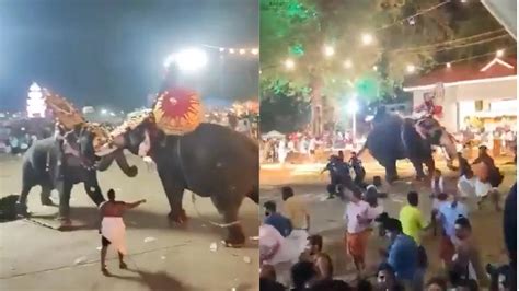 Elephant Attack in Kerala: Viral Video Shows Moment a Celebration Went Wrong | Times Now