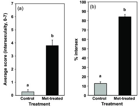 Intersex Scoring For Histological Sections Of Gonad From Control Males Download Scientific