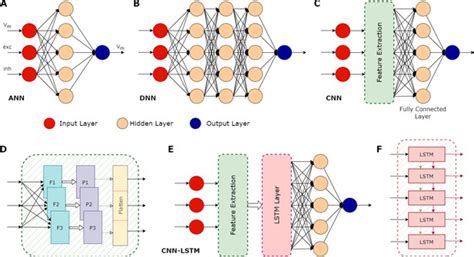 Computational Neuroscience A Faster Way To Model Neuronal Circuitry Elife