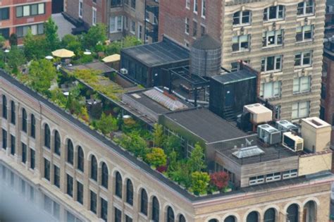 Creative New York City Rooftop Designs Bit Rebels