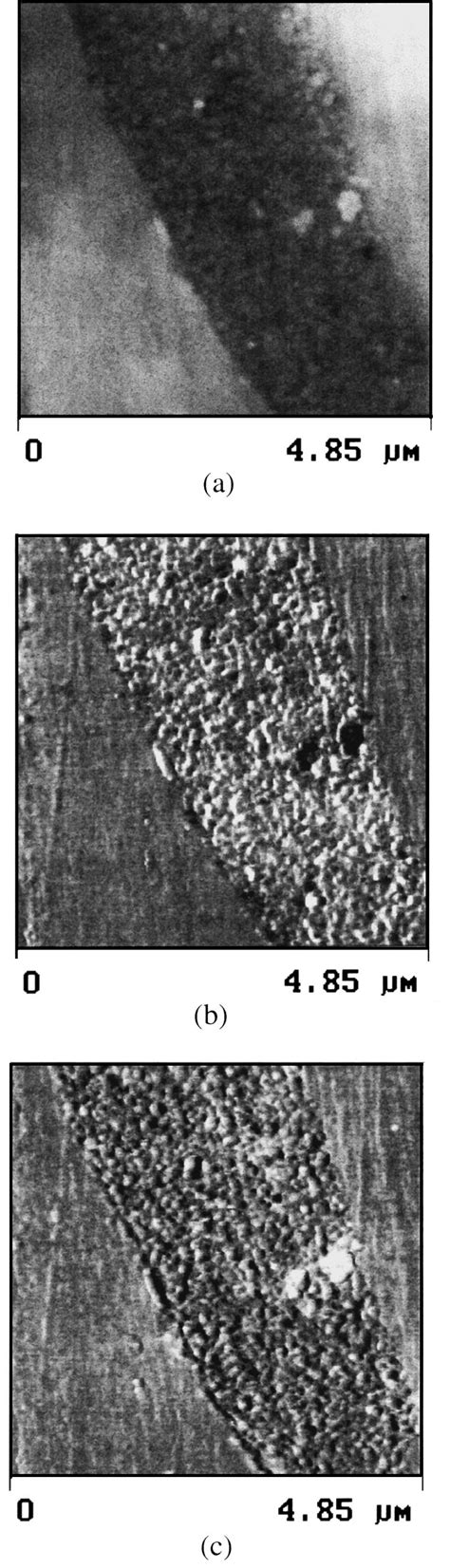 Atomic Force Micrographs Of Peek And Graphite A Topographic Mode