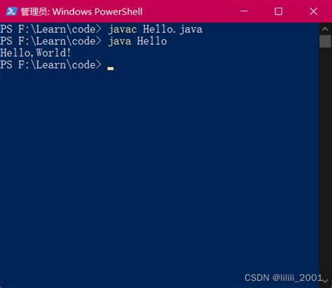 Java初学者指南 Csdn博客