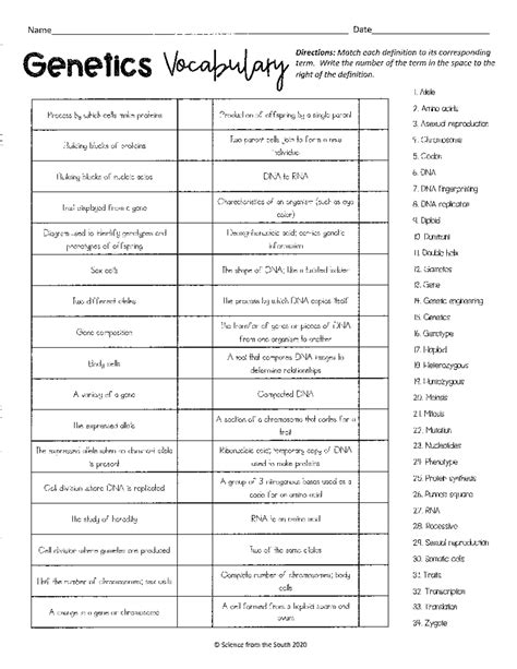 Genetics Vocabulary Worksheet