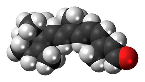 Download Free Photo Of Retinal Cis 3d Spacefill Model From