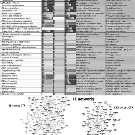 Categorisation Of Network Complexity Measures Download Scientific Diagram