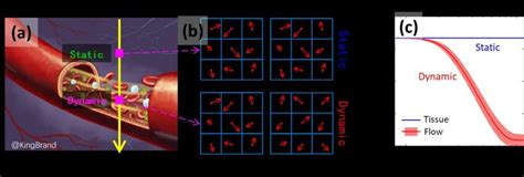 A Schematic Diagram Of The Calculation Of Complex Decorrelation A A