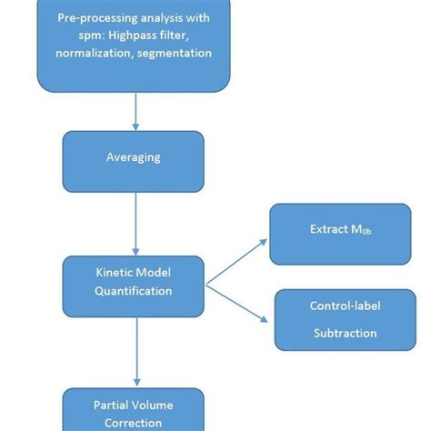 Quantification Flowchart Download Scientific Diagram