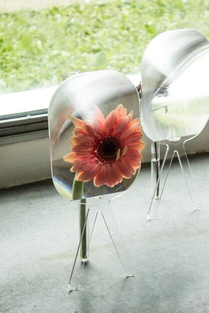 Premium Photo Flower Seen Through Glass Against Window