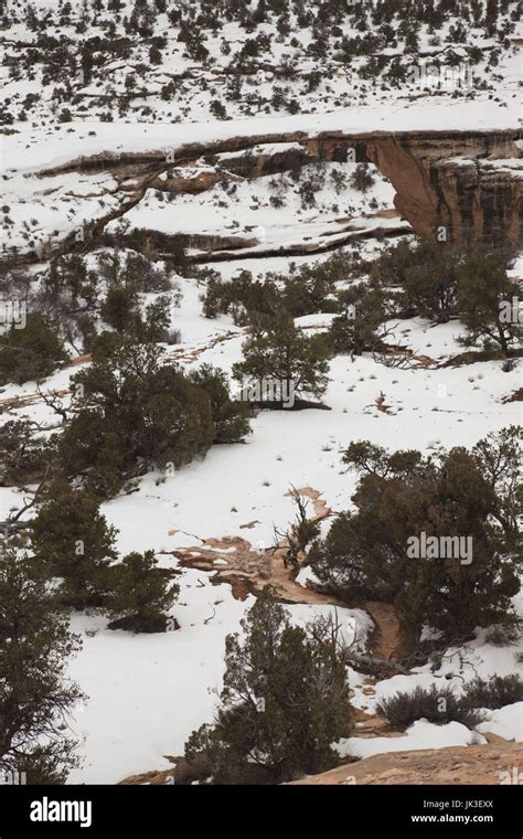 Utah Natural Bridges National Monument Owachomo Hi Res Stock