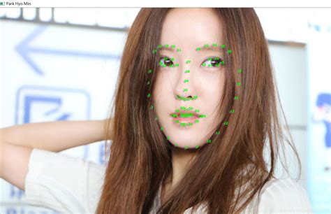 基于python的dlib库的人脸识别import Dlib Csdn博客