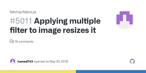Applying Multiple Filter To Image Resizes It · Issue 5011 · Fabricjsfabricjs · Github