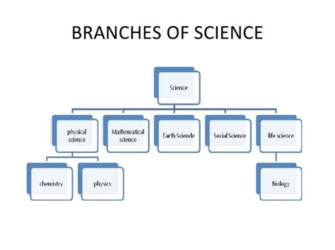 Branches Of Science
