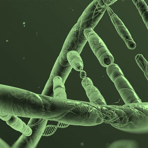 London Calling 2023 Nanopore Sequencing Of Ctdna — Better Than Short Read