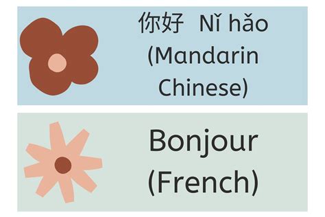 Mash 5th 6th Class Multilingual Languages Display