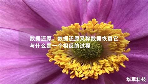 数据还原，数据还原又称数据恢复它与什么是一个相反的过程恢复教程恢复资讯技王数据恢复 技王数据恢复中心