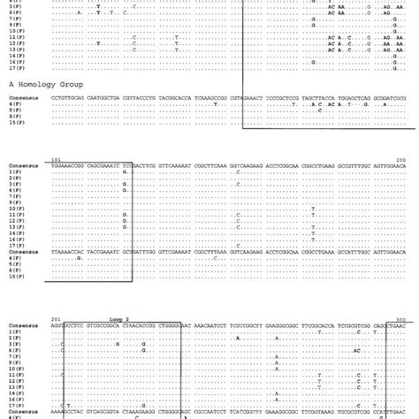 Alignment Of Por Nucleotide Sequences From Female Members Of 17 Sex Download Scientific Diagram