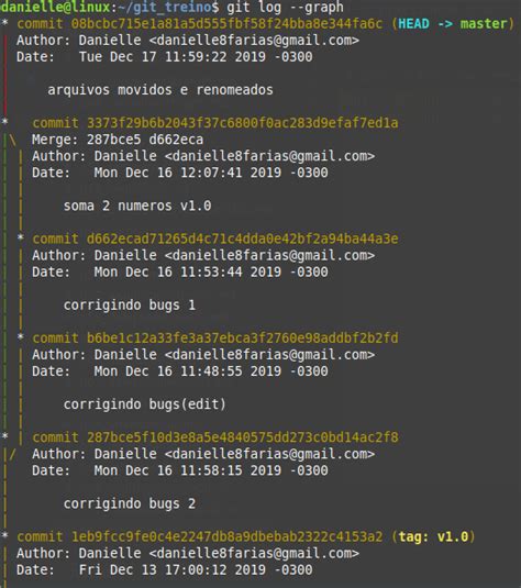 Tutorial Git Visualizando o commit no modo gráfico DEV Community
