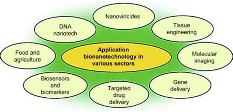 biopractify on linkedin biopractify nanobiotechnology biotechinnovation healthcarerevolution…