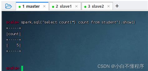 大数据实时处理41 Spark Sql概述、数据帧与数据集 Csdn博客