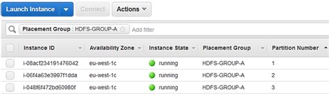 using partition placement groups for large distributed and replicated