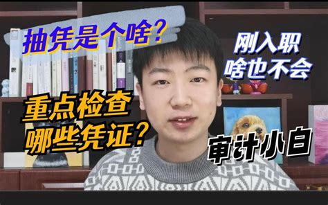 【拯救小白】如何抽取凭证？抽凭全流程与注意事项 哔哩哔哩