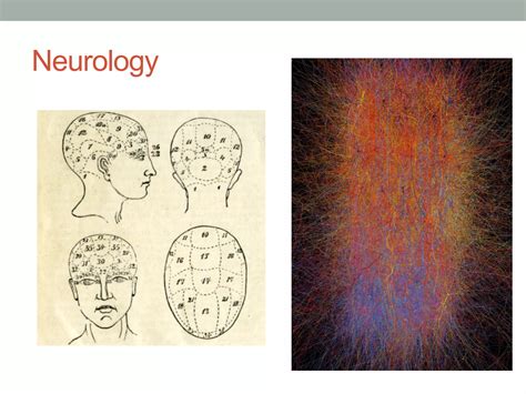 Intro To Graph Databases Using Tinkerpop Titandb And Gremlin Ppt