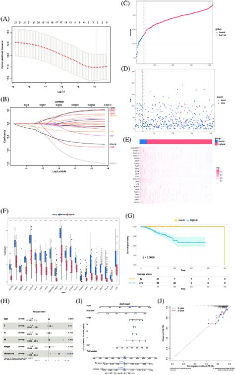 Model Construction And Evaluation A Lasso Coefficient Profiles Of