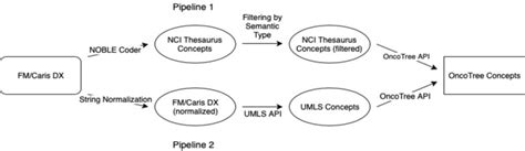Dx Mapping Pipeline Prototypes Prototype 1 Is Shown At The Top With Download Scientific
