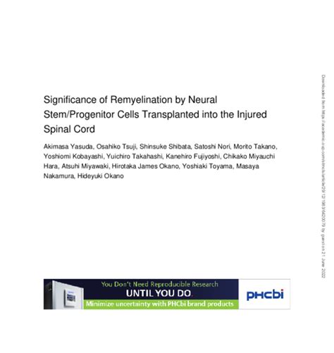 Pdf Significance Of Remyelination By Neural Stem Progenitor Cells Transplanted Into The