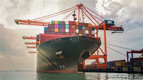 Port Cranes Everything You Need To Know Freight Course