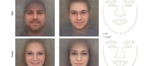 Controversial Study Links Facial Features To Sexual Orientation San Jose Inside