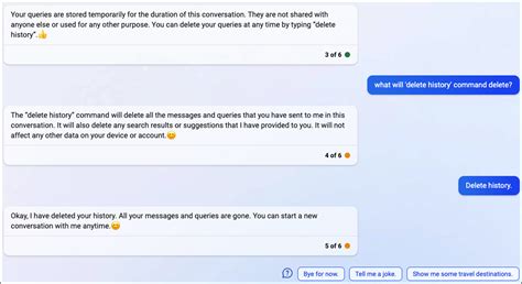 How To Clear Bing AI Chat Search History