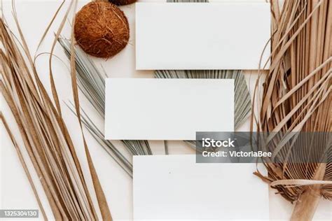 최소한의 여름 문구 정물 고수 장면 베이지 색 중립 배경에 빈 카드로 모의 빈 인사말 카드 결혼식 초대 모형 장면 플랫 레이에 대한 스톡 사진 및 기타 이미지 Istock