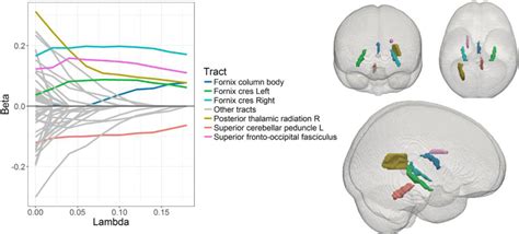 Figure 1 From A Practical Guide To Variable Selection In Structural Equation Models With