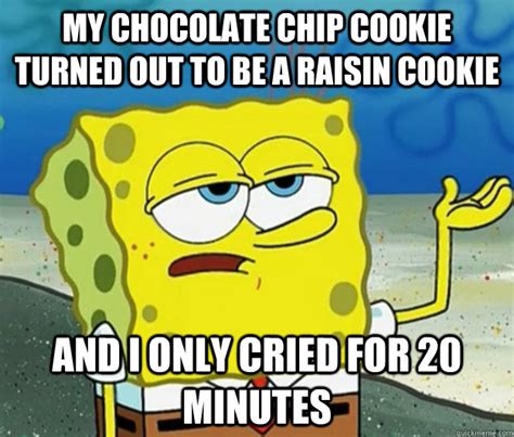 My Chocolate Chip Cookie Turned Out To Be A Raisin Cookie And I Only