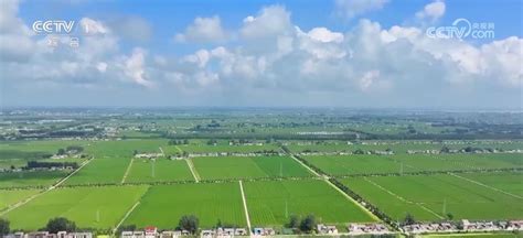 人口密度大省 口粮自给、略有盈余” 科学治理盐碱地变身 吨粮田”新闻频道央视网 人口密度大省 口粮自给、略有盈余” 科学治理盐碱地变身 吨粮田”新闻频道央视网