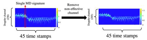 Illustration Of Generating Micro Doppler Signature For Dual Scale Download Scientific Diagram