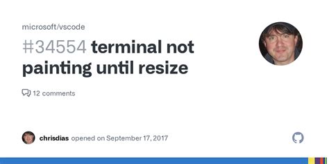 Terminal Not Painting Until Resize Issue Microsoft Vscode GitHub