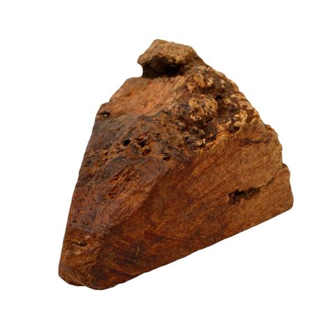 Paddock Farm Natural Root Dog Chew Large