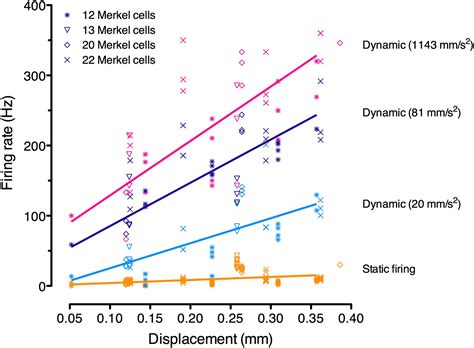 Figures And Data In Computation Identifies Structural Features That Govern Neuronal Firing