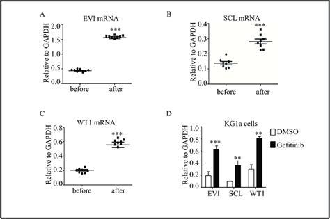 Gata2 Targeting Genes Are Up Regulated During Chemo Treatment A C