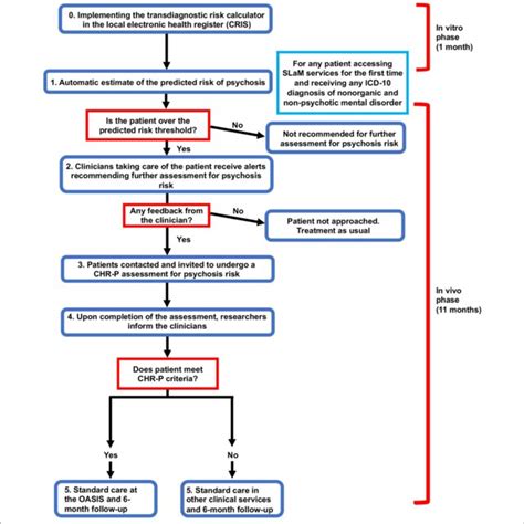 Flow Chart Of Study Design Including The In Vitro And In Vivo Phase Download Scientific Diagram