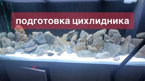 Подготовка цихлидника. Часть 10 - YouTube
