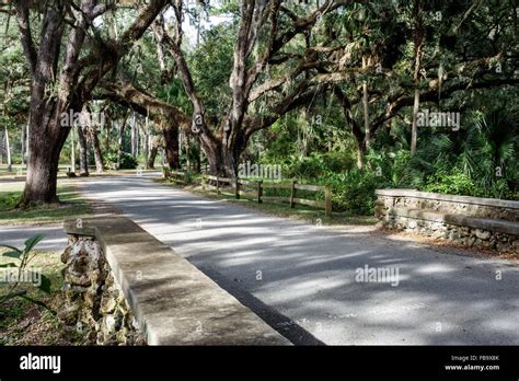 Florida Bushnelldade Battlefield Historic State Parkmassacre Sitesecond Seminole Warvisitors