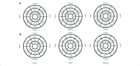 Native T1 Value And Ecv Median And Interquartile Range In Aha 16 Download Scientific