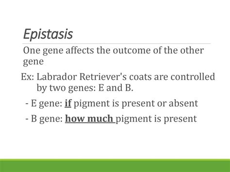 Types Of Inheritances III Ppt Download