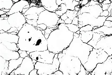 반전 대리석 텍스처 흰색과 검은 색 배경 대리석 텍스처 흰색과 검은 색 라인 디자인 또는 장식 프로젝트를위한 대리석 텍스처 배경 0명에 대한 스톡 사진 및 기타 이미지