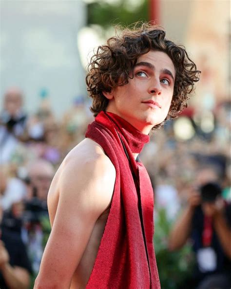 Timothée Chalamet Updates On Twitter Film Festival Timothee Chalamet