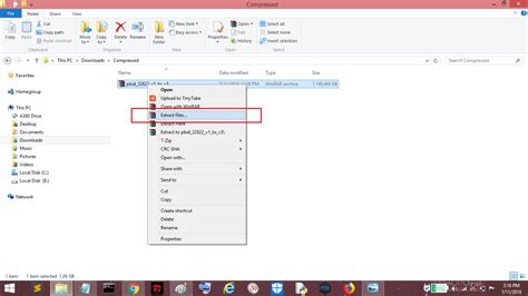 Extract File Download